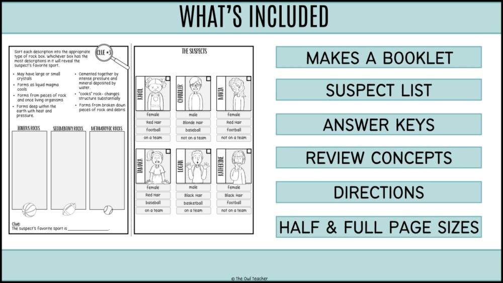 Rocks and Minerals Science Mystery Review and Practice Sheet - The Owl ...